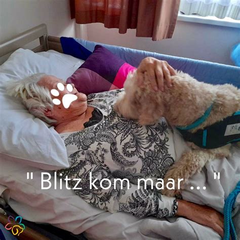 Lisa Van Hal Posted On Linkedin