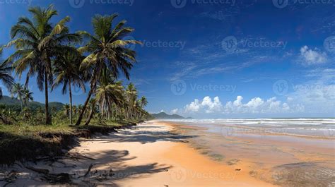 Landscape Brazilian Tropical Coast With Brazilian Atlantic Shoreline