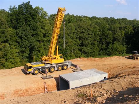 Artificial Cave To Shelter Bats From Deadly Fungus The Epoch Times