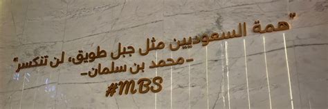 همة السعوديين مثل جبل طويق لن تنكسر ، الأمير محمد بن سلمان