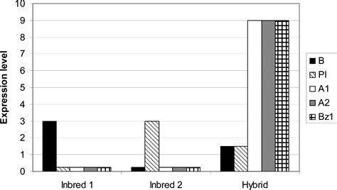 Allelic Variation And Heterosis In Maize How Do Two Halves Make More