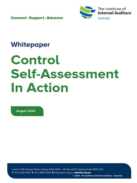 Control Self Assessment Pdf Internal Audit Audit