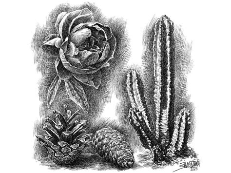 A Classy Ink Drawing Of Plants And Flowers Upwork