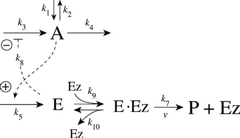 Motif 2 Single E Controller Removal Of E By Enzyme Ez Using A