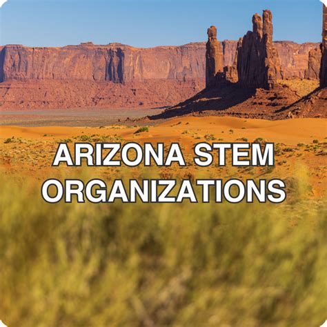 Homepage Scitech Institute