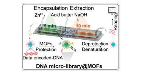Metalorganic Frameworks In Microfluidics Enable Fast Encapsulation Metalorganic Frameworks In Microfluidics Enable Fast Encapsulation
