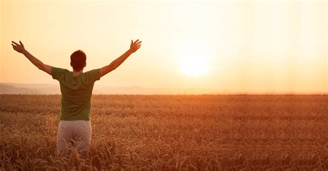 What Brain Processes Relate To Ptsd Therasoft Video