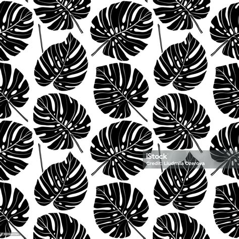 열 대와 완벽 한 패턴 벡터 나뭇잎 Monstera 잎 텍스처 정글 꽃 반복 배경입니다 계절에 대한 스톡 벡터 아트 및 기타 이미지 Istock