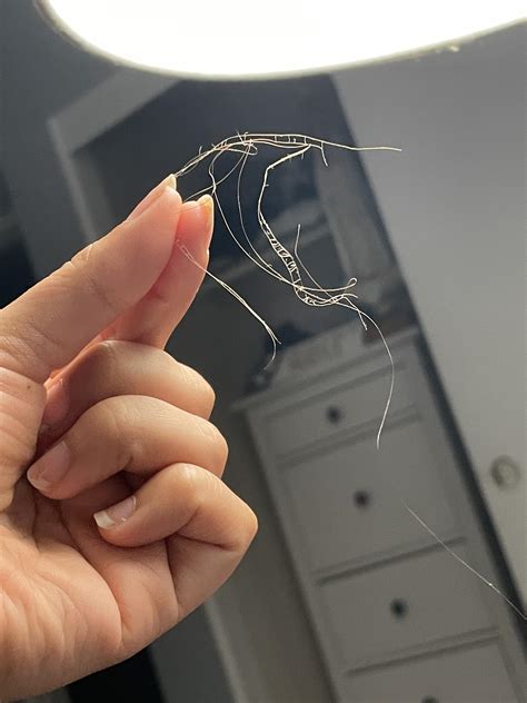 This Was One Of The Wackiest Splits Ever Splitends