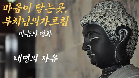 부처님의 가르침 3 마음의평화 부처님가르침 마음의평화 내면의평화 행복 명상 불교 Youtube