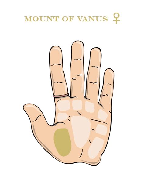 How To Read Palms The Ultimate Guidelines With Images