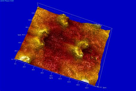 White Light Interferometer Principle Shelly Lighting
