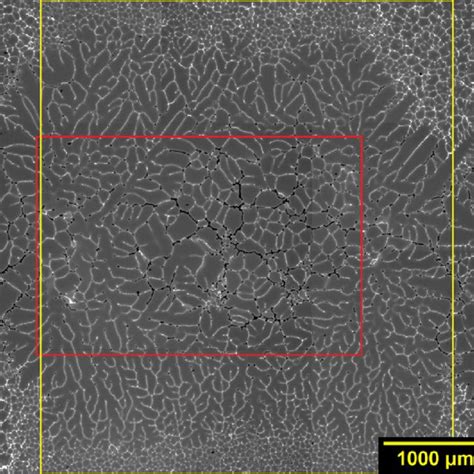 Bse Micrograph Of The Post Solidification Microstructure Of A Sample Download Scientific