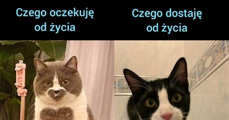 No Tak Chuj Mi W Dup