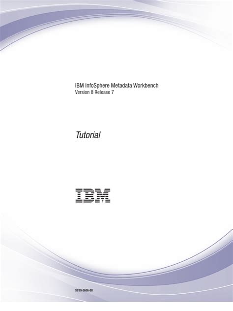 Ibm Infosphere Metadata Workbench V8 7 Tutorial Pdf Metadata