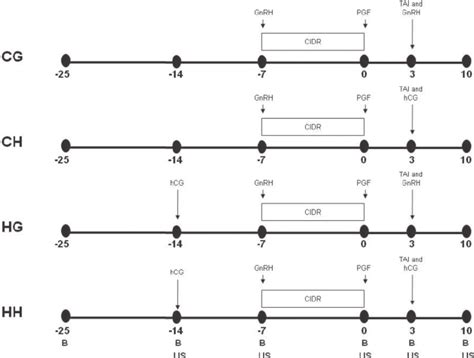 Experimental Protocol For Treatments To Synchronize Ovulation In Exp 1