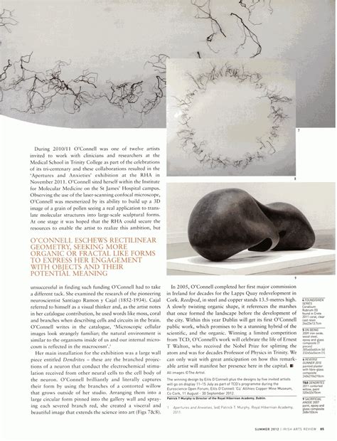 Eilis Oconnell Material Translations Solomon Fine Art