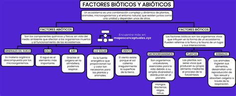 Mapas Conceptuales Factores Bióticos Y Abióticos 【descargar】
