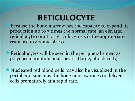 Reticulocyte Count