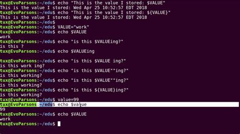M02t31 Intro To Linux Bash Variables Youtube