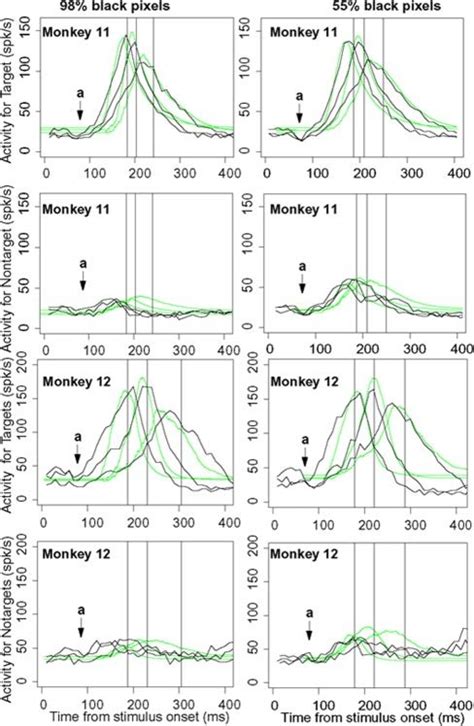 Neural Firing Rates Averaged Over Cells And Aligned On The Stimulus Download Scientific