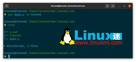 Linux 下进行 C 或 C 编程时重要的 GCC 标志 linux gcc c