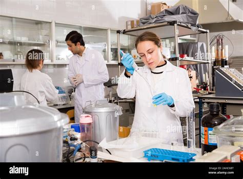 Female Babe Performing Experiments In University Laboratory Using Mechanical Lab Pipette For