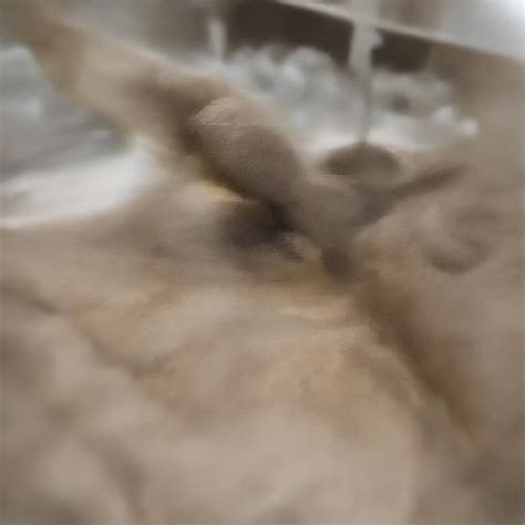 Compacting Sand Techniques And Best Practices