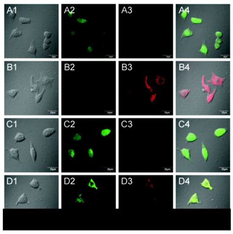 H2s Sensors Synthesis Optical Properties And Selected Biomedical Applications Under Visible