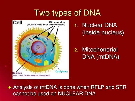 Ppt Codis Combined Dna Index System Powerpoint Presentation Free Download Id 2807057
