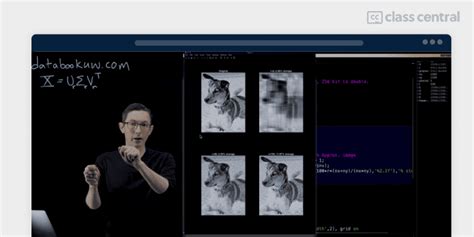 unveiling the mathematical beauty of machine learning a review of