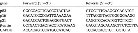 Primers Sequences For Rt Pcr Download Scientific Diagram