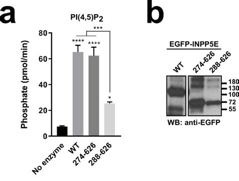 Multiple Ciliary Localization Signals Control Inpp5e Ciliary Targeting Pmc