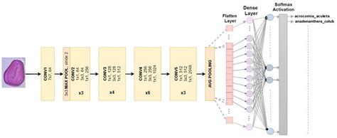 Pollen Grain Classification Using Some Convolutional Neural Network