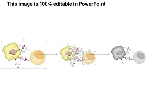 NK Cell Immune Medical Images For PowerPoint PowerPoint Presentation Designs Slide PPT