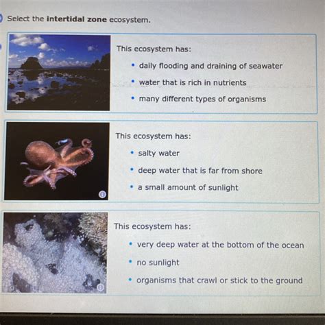Solved Select The Intertidal Zone Ecosystem This Ecosystem Has Daily