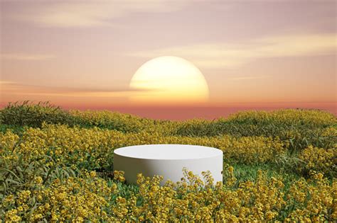Abstact 3d 렌더링 봄 장면 및 자연 연단 배경 노란 꽃과 잔디밭에 흰 돌 연단 제품 디스플레이 광고 화장품 등을 위한