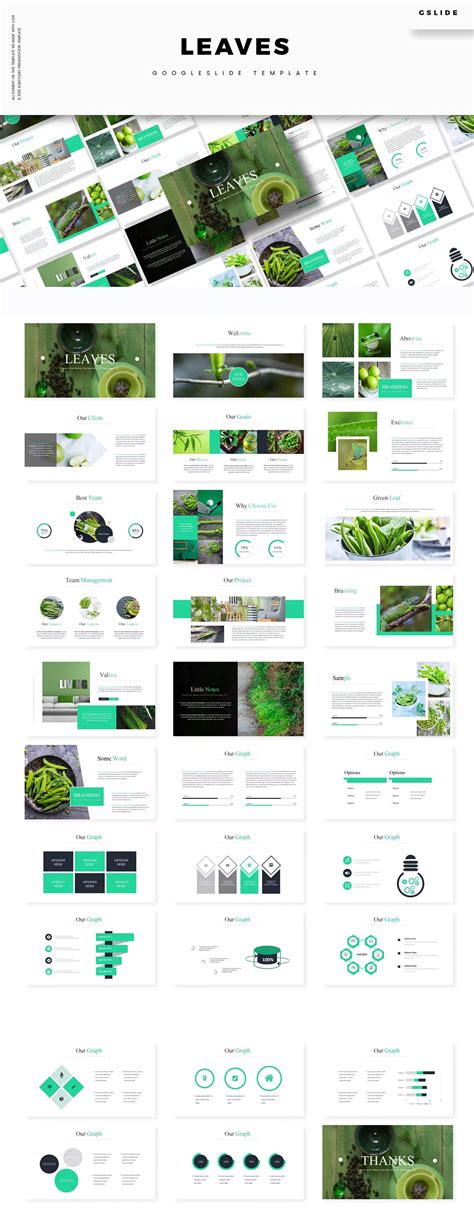 Keynote Template Google Slides Premade Presentation Templates Powerpoint Infographic