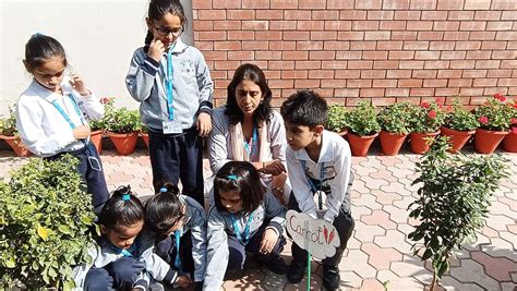 Seed Sowing Activity Class Kg St Kabir Public School