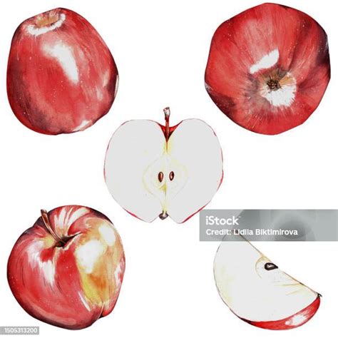 수채화 세트 빨갛고 육즙이 많고 잘 익은 사과 엽서 패키지 디자인 가을에 대한 스톡 벡터 아트 및 기타 이미지 가을 건강한 식생활 과일 Istock