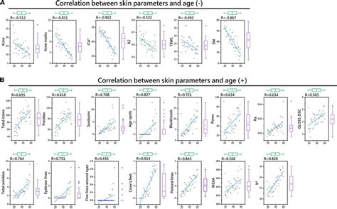 Thermal Map Of The Correlation Coefficients Between Skin Parameters And