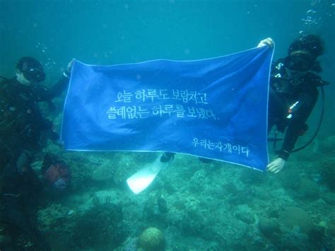 I Love Mma 종합격투기 Added A New Photo I Love Mma 종합격투기