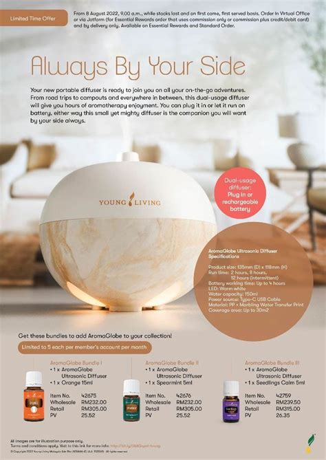 Yl Diffuser Aroma Globe Diffuser Limited Time Offer Virtual Office