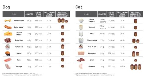 Treat Vs Doughnut Poster Balwyn Veterinary Surgery