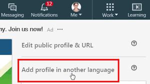 How To Add Language On LinkedIn Secondary Profile In Another Language All Tech Nerd