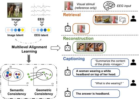 论文审查 Realmind Advancing Visual Decoding And Language Interaction Via