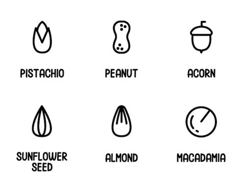 premium vector nuts and seed icons set pistachios peanuts acorn