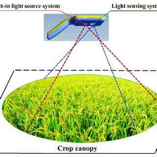 Waveform Of Sunlight And The Modulated Light Source Download Scientific Diagram