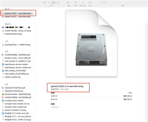 Goland 202224 激活安装 For Mac 墨天轮
