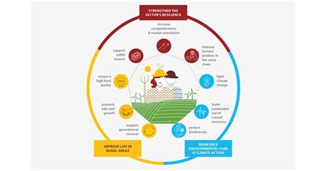 Европейският парламент прие реформата на ОСП Български Фермер